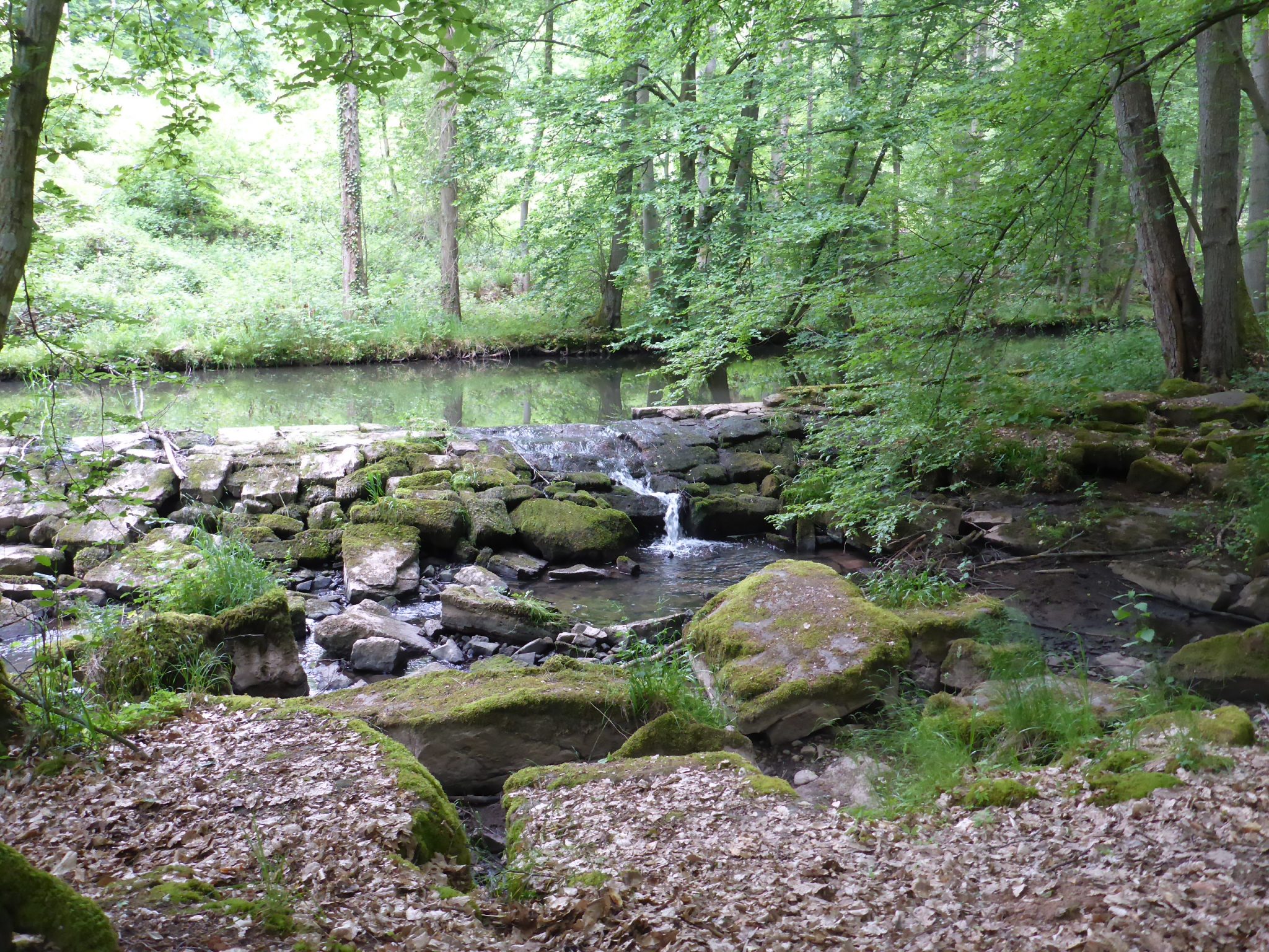Rund um das Hexenhaus bei Oberthulba - Matthias Reichert
